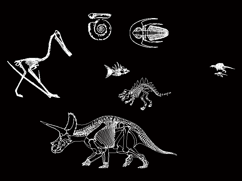 Fósiles - BLOQUES PARA AUTOCAD GRATIS